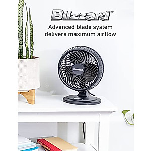 HOLMES BLIZZARD 7" Table Fan, 2 Speeds, 3 Blades, 85° Oscillation, 20° Adjustable Head, Home, Bedroom and Office, Charcoal Matte
