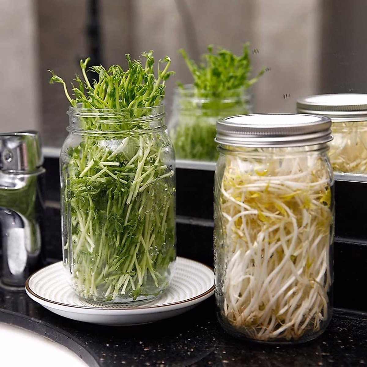Mueuton Sprouting Jar Kit-2 Wide Mouth Quart Mason Jars（32oz with Stainless Steel Screen Sprout Lids, Tray, Stand and Canning Brush Seed Sprouter Set…