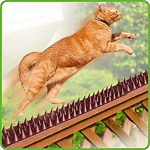 DE-BIRD: Defender Spikes, Cat and Bird Deterrent - Outdoor Pest Defender to Keep Off Pigeon, Squirrel, Woodpecker & More. Plastic Deterrent Anti Theft Climb Strips - 20pk [20 Foot]