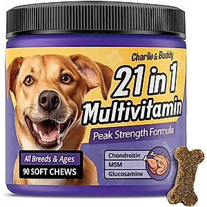 Charlie & Buddy Dog Multivitamin 21 in 1 - Dog Vitamins and Supplements with Vitamin C Multivitamin for Dogs - Chicken Flavour Dog Vitamins Soft Chews - 90ct