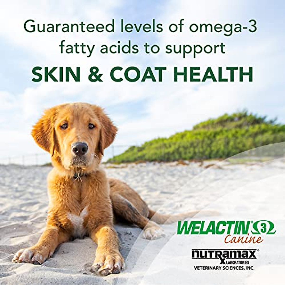 Nutramax Welactin Omega-3 Fish Oil Skin and Coat Health Supplement Liquid for Dogs, 120 Softgels