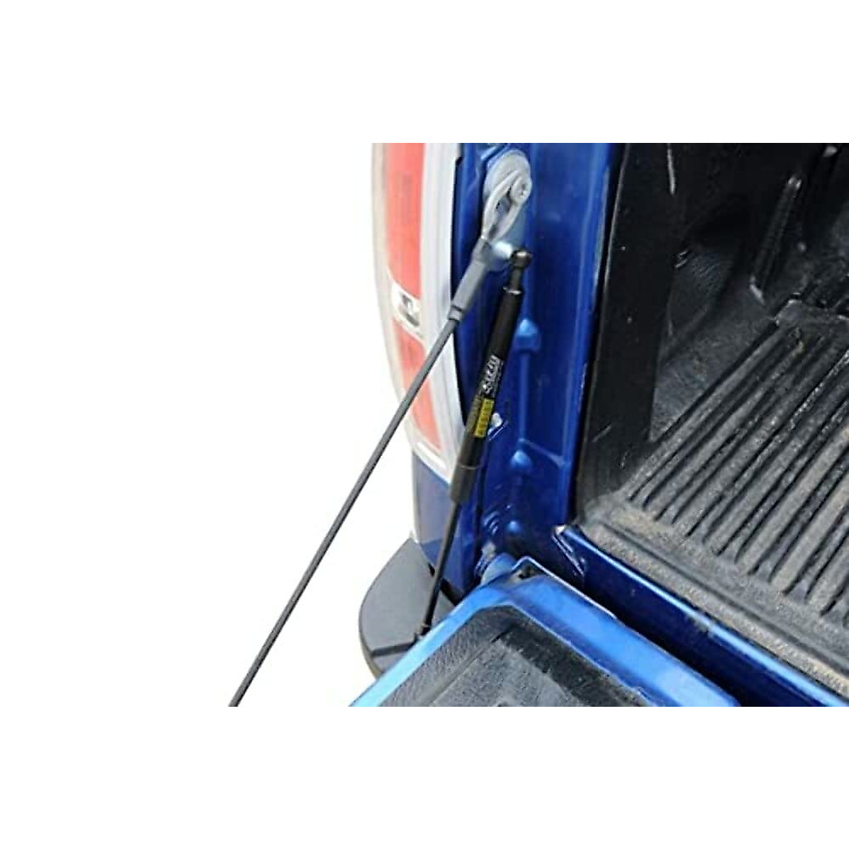 Dee Zee DZ43204 Tailgate Assist fits 2015-Current Ford F150, Multicolor