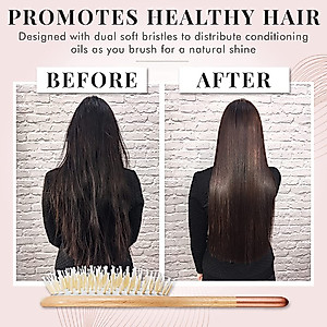 Wooden Hair Brush, Paddle Brush for Women with Soft Bristles - Sustainable Beech Detangling Hairbrush for All Hair Types by Lily England (Rose Gold)