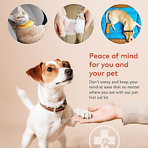 ARCA PET First Aid Kit 3 Piece Set - Each for Home, Car & Travel. Dog First Aid Kit with Thermometer, Tick Remover Kit & Many More