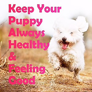 Cranberry Bladder Health for Dogs - Dog Antioxidant- 160 Cranberry Soft Chew Supplements for a Healthy Urinary Tract and Bladder Control – Made with Cranberry & D-Mannose & Vitamins (Chicken Flavor)