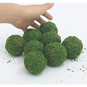 Nice purchase Handmade Natural Green Plant Moss Balls Decorative for Home Party Display Decor Props (2 in)
