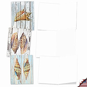 The Best Card Company - 10 Blank Note Cards with Envelopes (4 x 5.12 Inch) - Bulk All Occasion Cards Boxed - Seashell Driftwood AM6118OCB-B1x10