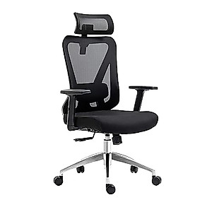 Techni Mobili Truly Ergonomic Office Chair with Lumbar Support & Adjustable Headrest – Breathable Mesh Office Chair with 5 Precision Adjustment Points, Black