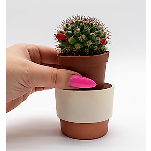 The HC Companies 2.5 Inch Sprite Mini Succulent Pot - Small Plastic Planter with Drainage for Indoor Plants, Crafts, Wedding Favors, Vanilla Bisque (20 Pack)