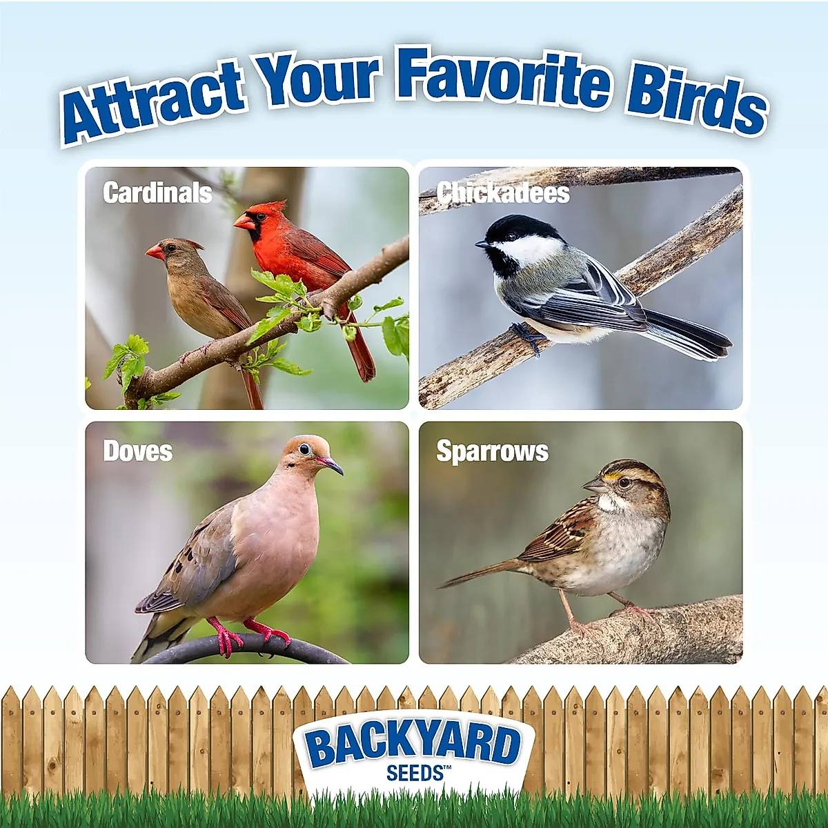 Backyard Seeds Classic Berry Blend Sunflower Bird Seed Mix in Bucket 15 Pounds