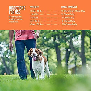 Synovi G4 Dog Joint Supplement Chews, 120-Count, for Dogs of All Ages, Sizes and Breeds