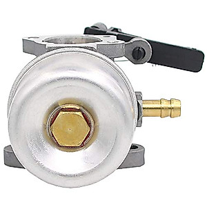 Yooppa 593599 Carburetor for Briggs & Stratton 591137 595390 796595 796396 796657 798938 79648 121R02 121S02 Engine Power Washer Carburetor