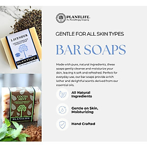Plantlife Green Tea Bar Soap - Moisturizing and Soothing Soap for Your Skin - Hand Crafted Using Plant-Based Ingredients - Made in California 4oz Bar