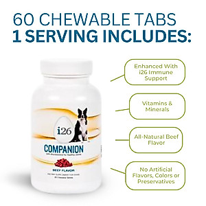 Chewable Dog Nutrition Companion i26 Puppies to Adults - 60 Beef Tabs