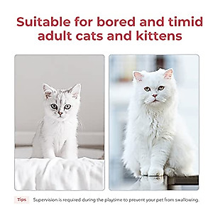 Cheerble Smart Interactive Cat Toy, Automatic Moving Bouncing Rolling Ball for Indoor Cat Kitten, Peppy Pet Ball with Lights and Bell, Red