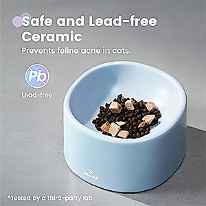 Pawaii Ceramic Cat Bowl, Combined Type Elevated Cat Bowl, Whisker Fatigue Cat Bowl, Dishwasher and Microwave Safe, One Elevated Cat Bowl and One Dish