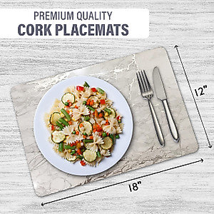 Dainty Home Marble Cork Place Mats Rectangle Silver Gold 12"x18" Set of 2 Washable Placemats Heat Resistant Placemats Non Slip Table Placemats