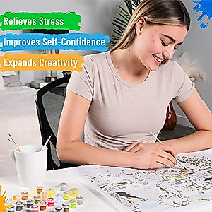 HOIYLDS Paint by Numbers for Adults - DIY Paint by Number for Adults Beginner Easy Acrylic Watercolor Number Painting Canvas Arts for Adults, Oil Painting Paint-by-Number Kits 16x20inch