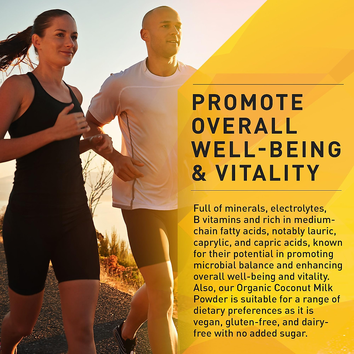 COCONUT MILK POWDER, 397g (14 oz)