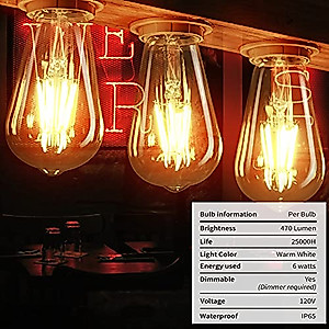 Brightown LED Edison Bulb, 10 Packs 60 Watt Equivalent 6W Dimmable LED Filament Bulb, E26 Base Vintage Amber Bulbs, 2700K Warm White, 470 Lumen