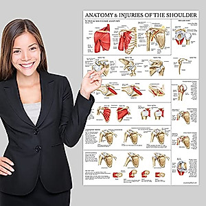 Palace Learning LAMINATED Anatomy and Injuries of the Shoulder Poster - Shoulder Joint Anatomical Chart