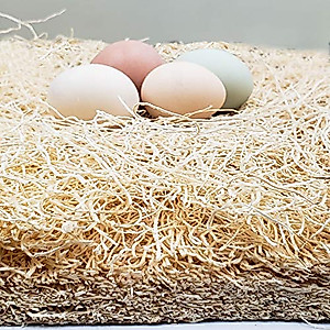 MagJo Pet Excelsior Aspen Shaving Nesting Liners (12 Pack)