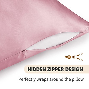 OLESILK 100% Mulberry Silk Toddler Pillowcase for Hair and Skin, Both Sides 19 Momme Pure Natural Silk Travel Pillow Cases with Hidden Zipper, 13"x 18", Light Plum