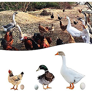 HorLaLa Egg Collection Apron with 18 Pockets for Gathering Chicken Duck Goose Eggs,Apron Fresh Eggs,Egg Collecting and Waist Backyard Coops,Great Gifts Mums Friends, Blue, 21inch