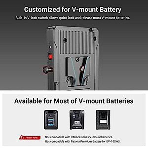 SmallRig V Mount Battery Adapter Plate, Power Supply Splitter with 15 mm Rod Clamp and Adjustable Arm, for Sony for Canon DSLR Cameras/Camcorders - 3204