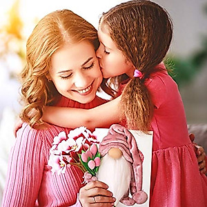 Mother's Day Gnome Faceless Doll Gifts Bedroom Living Room Desktop Decoration Kitchen Decor. Swedish Gnome Plush Decorations Elf Standing Post Home Decor for Mom (Pink 1PC)