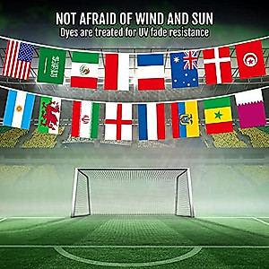 1st Choice 82 Feet 8.2'' x 5.5'' International String Flags Banners,100 Countries Flags World Flags Pennant Banner for Olympics,Grand Opening,Sports Clubs,Party Events Decorations
