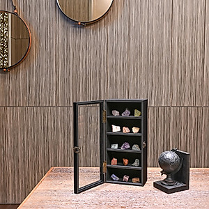 Ikee Design Wall Mounted Wooden Collectible Display Case 5 Shelf Display Storage Accessories Display with Tempered Glass Door, Black Color