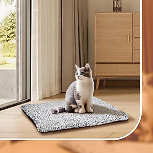 Nobleza Self Warming Cat Bed, Super Soft Thermal Dog Crate Bed Mat for Sleeping, Washable Anti-Slip Self Heating Pet Kennel Pad for Small Medium Cats Dogs Indoor Outdoor (LightGray, S)