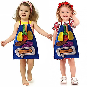 PRIMUZ 3D Organ Apron For Home Preschool Teaching Aid,Human Body Removabl Organs Apron ，Vital Organ Apron That Helps Children Understand The Internal Structure Of The Bod
