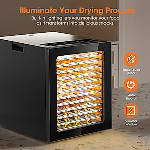 Food Dehydrator Machine, 12-Trays Stainless Steel Digital Food Dryer for Home,10 Presets, 48H Timer and Temperature Control, 850W Dehydrators for Food and Jerky, Dog Treats,Meats & Veggies