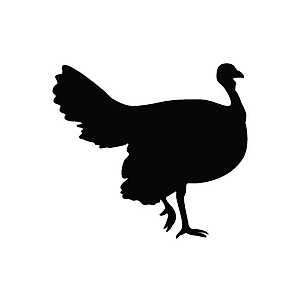 8x10 Turkey Style 2 Stencil Made from 4 Ply Matboard