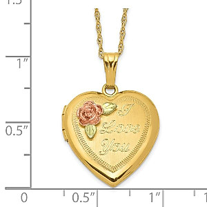 IceCarats 10K Yellow Gold Chain Necklace Black Hills Personalized Photo Locket