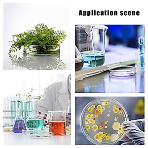 OLYCRAFT 6PCS Glass Petri Dishes High Borosilicate Glass Bacterial Culture Dishes with Lid 60mm Dia x 18mm Deep with 2pcs Glass Culture Plate for Laboratory School Science Project