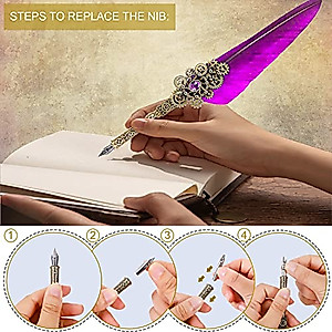 NC Quill Pen Ink Set,Feather Pen Set Includes 5 Bottles of Ink and 6 Replaceable Stainless Steel Nibs,1 Gear Quill Pen,Calligraphy Pen Set for Writing,Letter Writing,Signature Invitation,etc(Purple)
