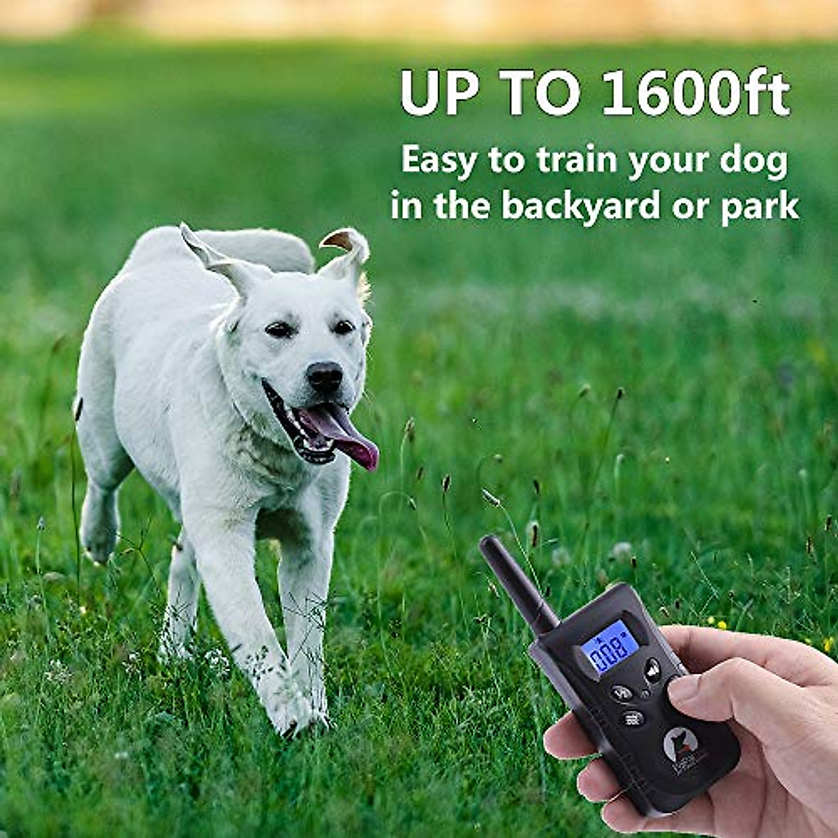 Paipaitek No Shock Dog Training Collar, Rechargeable & Waterproof No Shock Dog Collar with Remote, Up to 1600Ft Remote Range