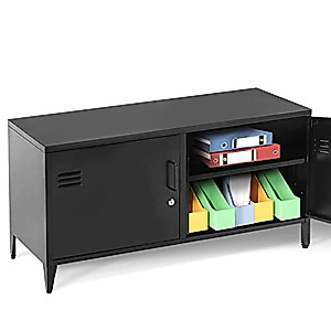 DOALBUN Metal Storage Cabinet, 2 Door Metal Locking Cabinet, Steel Lockable Office Storage Cabinet with 2 Shelves for Home Office, Garage and Warehouse (Black)