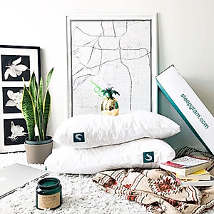 Sleepgram Bed Support Adjustable Hypoallergenic Cool Sleeping Loft Soft Pillow with Removeable Microfiber Cover, Queen Size, White