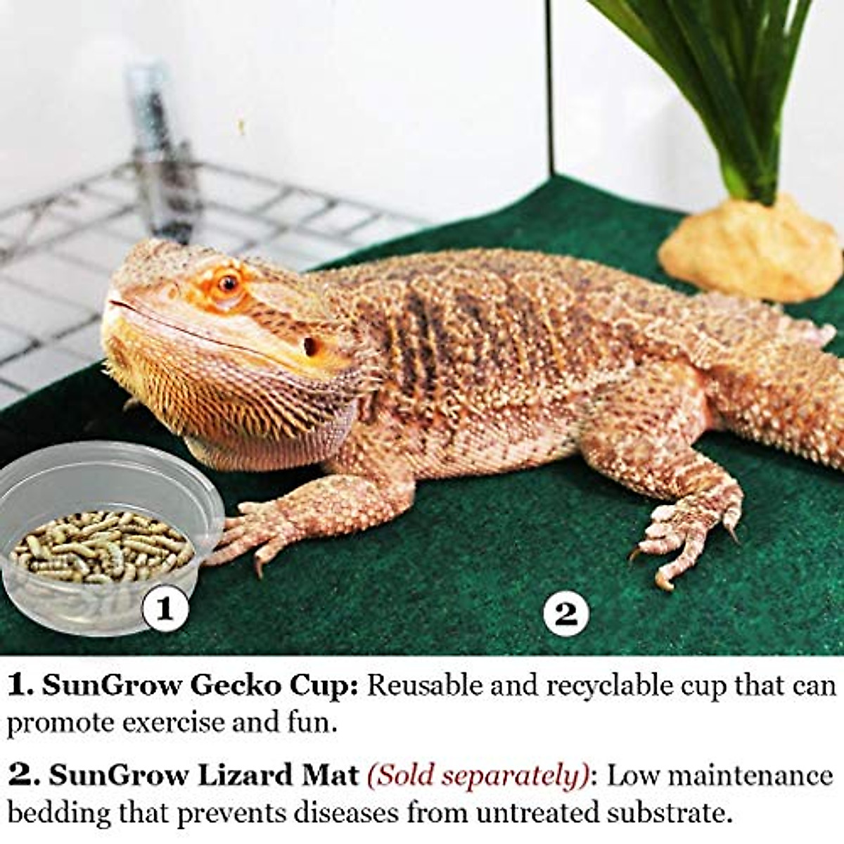 SunGrow Gecko Food and Water Containers, Reusable, Recyclable, Disposable Cups, 0.5 oz Capacity Plastic Transparent Dishes, Fits Various Reptile Feeder, 1.6” Diameter, 0.6” Depth, 100 Pcs