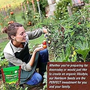 Heirloom Vegetable Seeds Non GMO Survival Seed Kit - Part of Our Legacy and Heritage - 50 Varieties 100% Naturally Grown- Best for Gardeners Who Raise Their Own Healthy Food