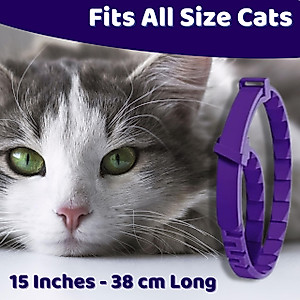 Pettify Calming Collar for Cats 4 Packs | 15 Inches Comfortable Cat Calming Collar | Long Lasting Cat pheromone Collar for Stress and Anxiety Relief, Strong Adjustable Breakaway Design