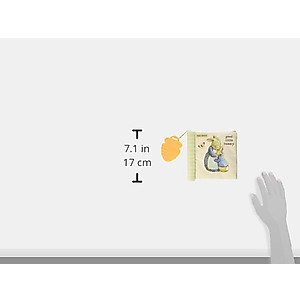 KIDS PREFERRED Beatrix Potter Peter Rabbit Soft Teether Book with Sensory Teether Spine and Teether Toy