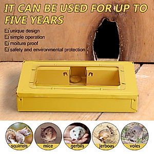 Kittmip 4 Pack Multi Catch Mouse Trap Clear Top Humanized Mouse Trap Reusable Mouse Trap PET and Kids Security for Indoor Outdoor Garage House and Kitchen (Yellow)