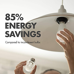 Tenergy LED Light Bulb, 9 Watts (60W Equivalent) A19 E26 Medium Standard Base, 5000K Daylight White Energy Saving Light Bulbs for Office/Home, 32 Pack