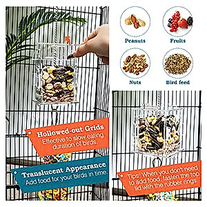 Lewondr Parrot Bird Toys Feeder Chewing Toy, Creative Parrot Shredder Entertaining Toy, Hanging Foraging Box, Transparent View Acrylic Bird Treat Feeder for Cockatiel, Budgie, Parakeet, Anchovies