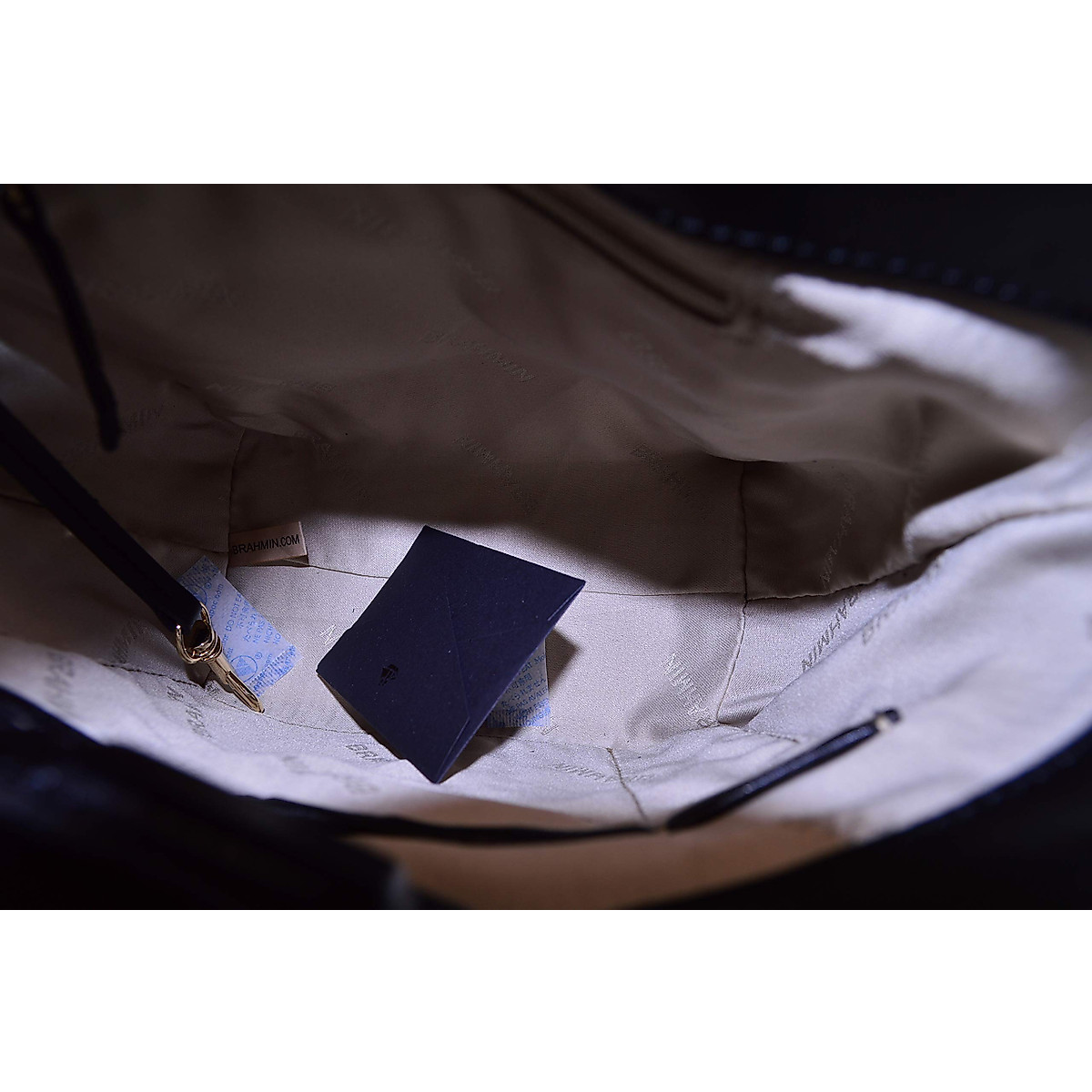 BRAHMIN Faith 3 way Python Embossed Leather Caviar Felix Crossbody